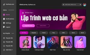 HTML, CSS cơ bản – Khóa học HTML, CSS từ Zero Tới Hero (2023 version) – Tuhoc.cc